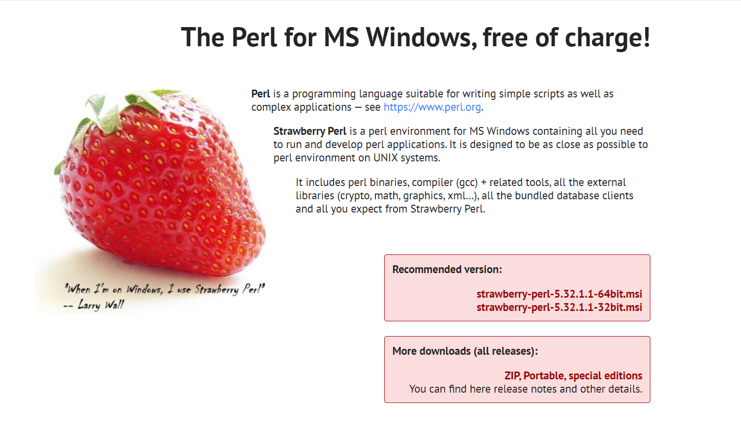 Windows Server 2019にPerlをインストール | ペコネット